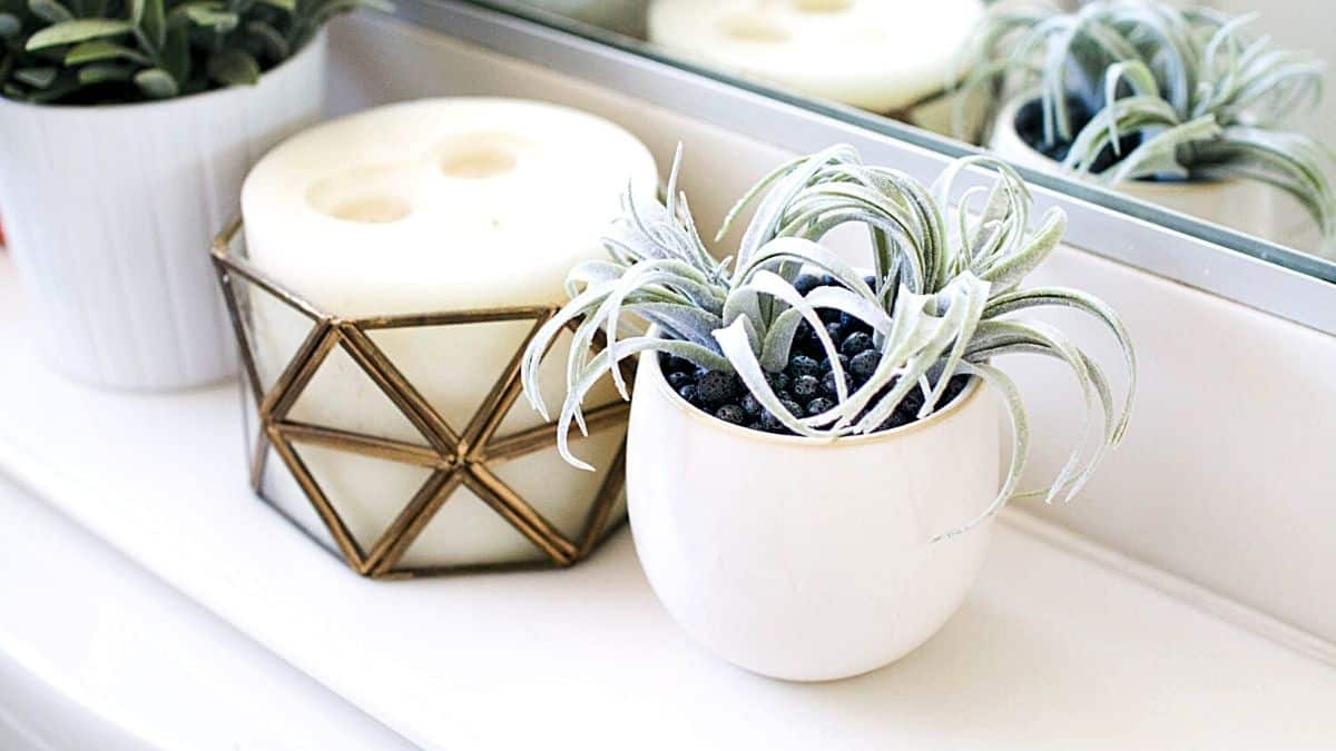 Lava Rock Diffuser DIY for Essential Oils - Cupcakes and Cutlery